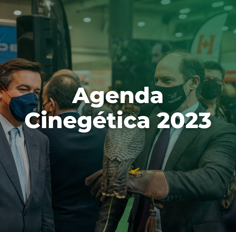 Concurso de dibujo Cinegética y Redescubriendo la caza: acercando el ...